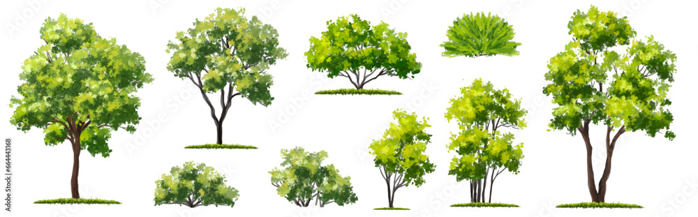 Vertor set of green tree,plants side view for landscape elevation ...