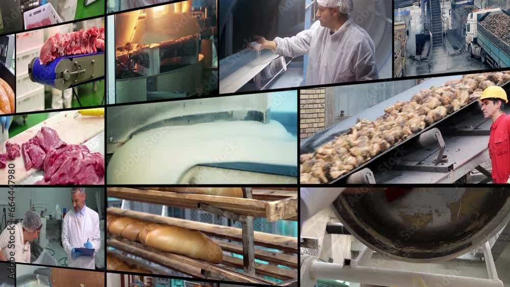 Food Industry - Multi Screen Video. Sugar Production in Sugar Refinery ...