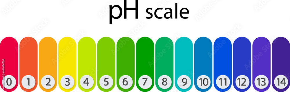 pH scale chart for acid and alkaline solutions. Acid-base balance ...