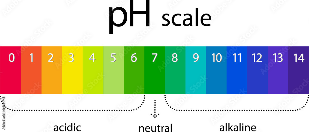 pH scale chart for acid and alkaline solutions. Acid-base balance ...