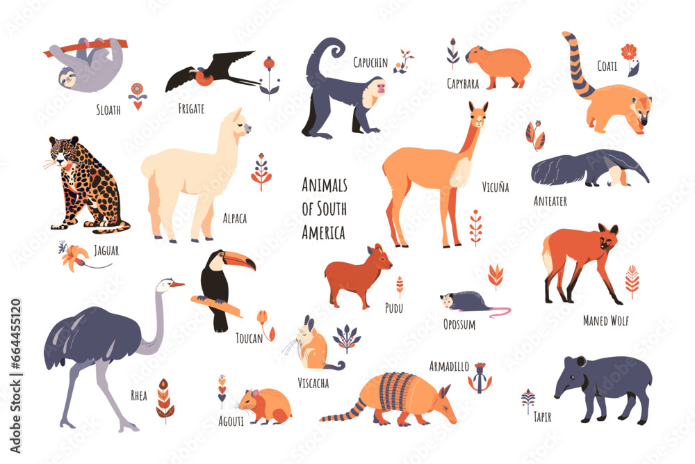 Poster Set of South American animals with floral elements and captions ...
