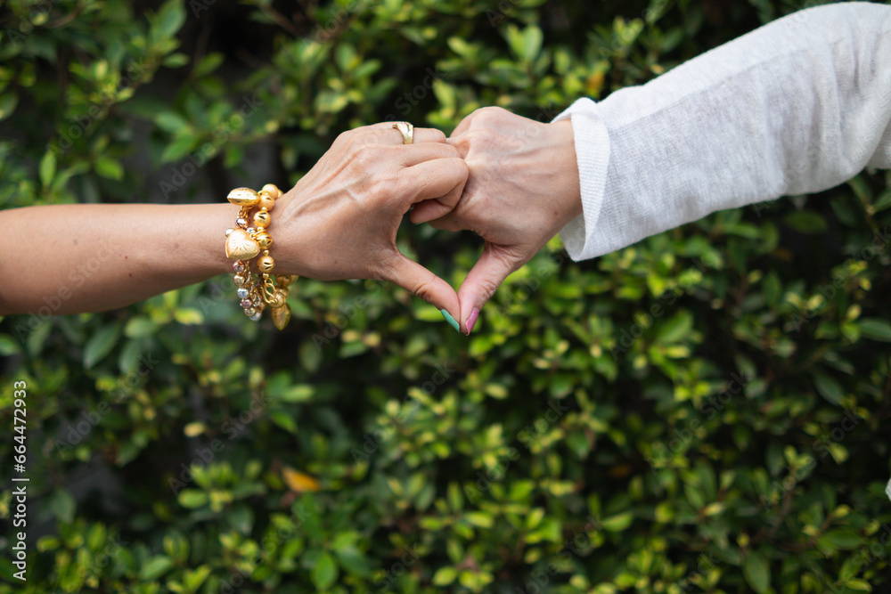 young woman and her friend raised their hands together to form heart ...