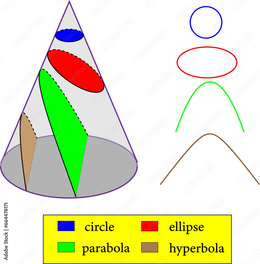 Types Of Conic Sections Circle Ellipse Parabola Hyperbola Vector Illustration Stock