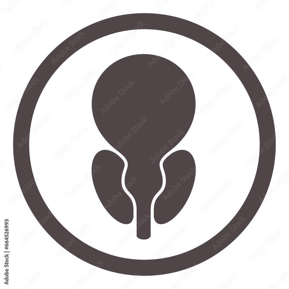 Prostate icon. Male reproductive system black symbol Stock Illustration ...