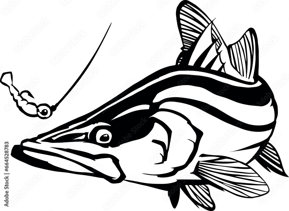 Vetor de Snook Fish LineArt Icon do Stock | Adobe Stock