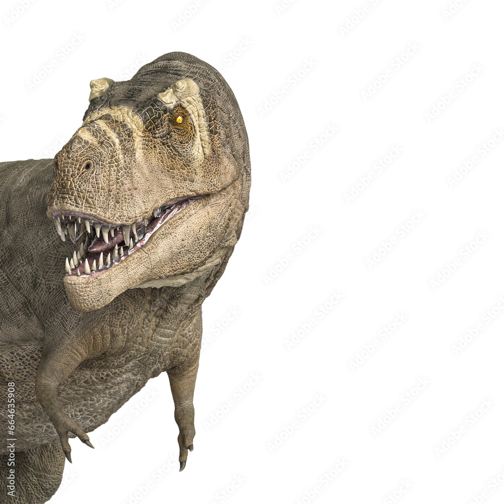 tyrannosaurus rex is angry and is looking back on close up side view ...