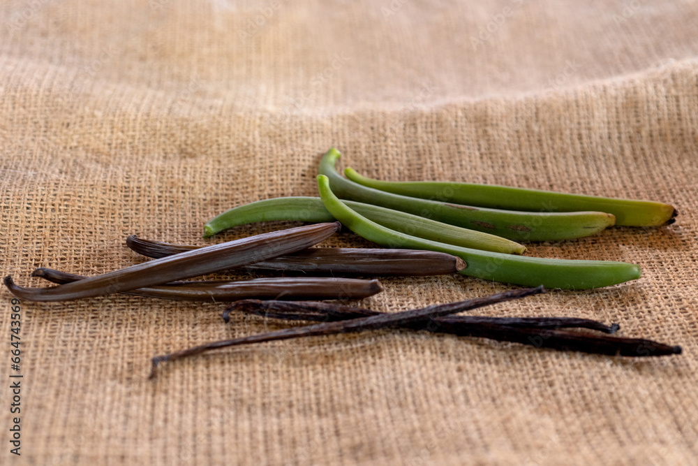 Vanilla pods of various stages of production, fresh and dried Vanilla ...