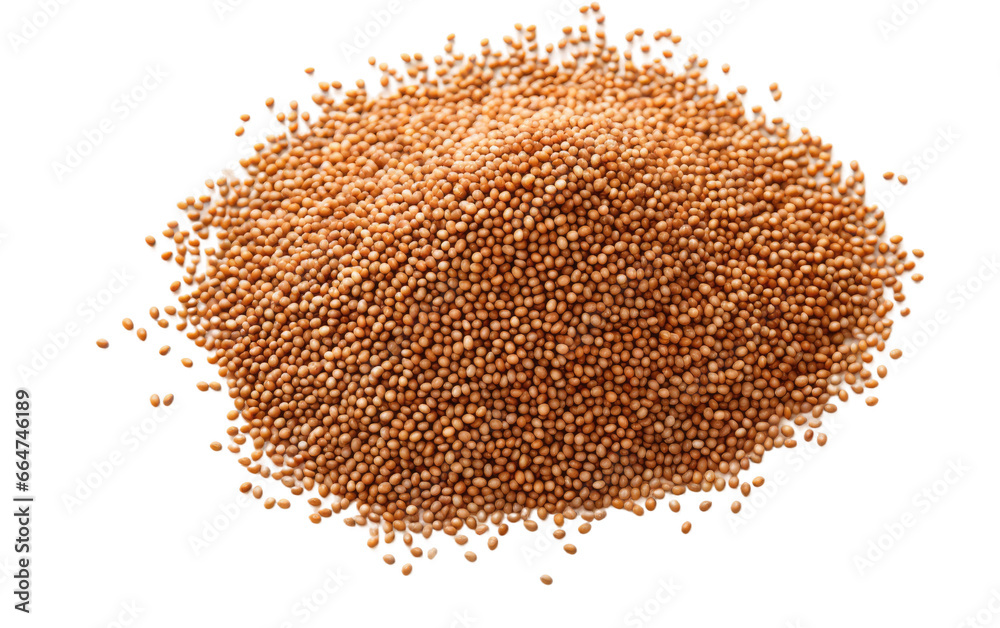 Realistic Quinoa Seeds in PNG Format on White or PNG Transparent ...