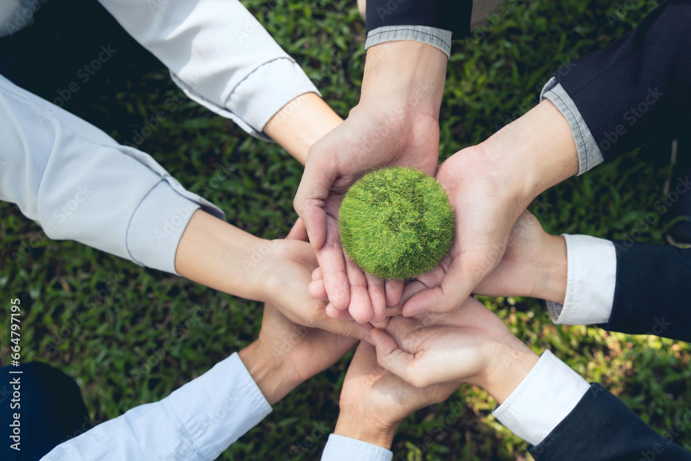 Corporate social responsibility CSR.World Environment Day. business hands holding the green ...