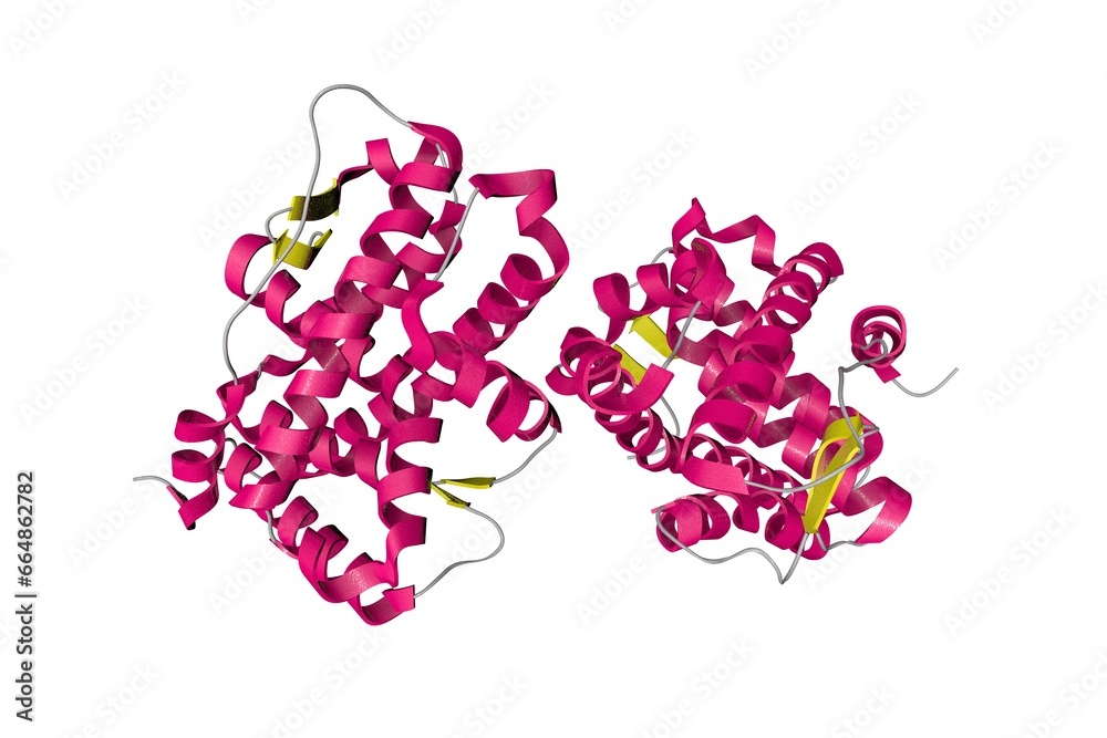Human progesterone receptor ligand binding domain in complex with the ...