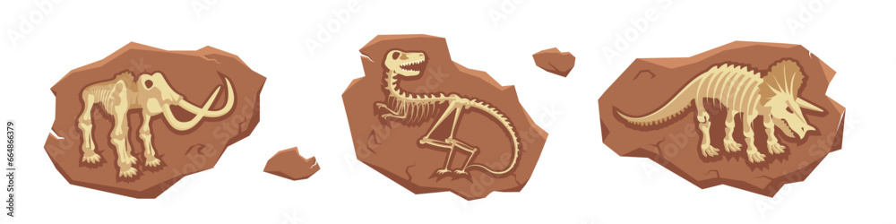 Dinosaur fossil vector illustration set. Cartoon isolated jurassic dino ...