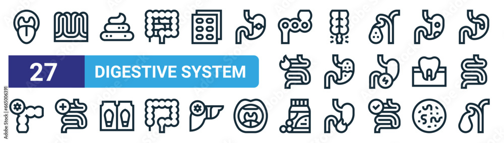 set of 27 outline web digestive system icons such as tongue, intestinal ...