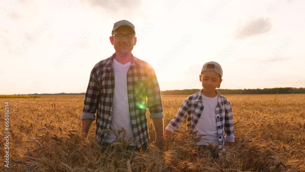 A male farmer going with his child through ripened wheat during harvest ...