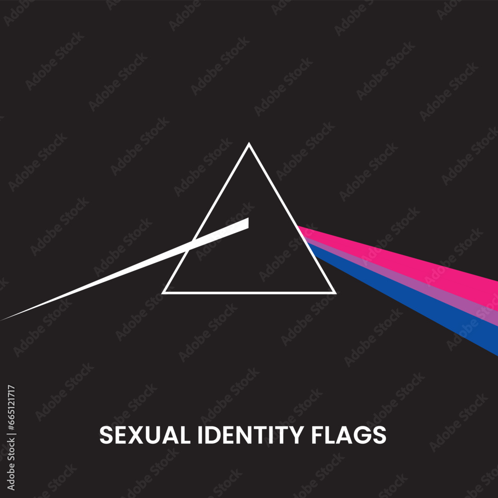 sexual identity flags of the lgbtiq+ community Stock Vector | Adobe Stock