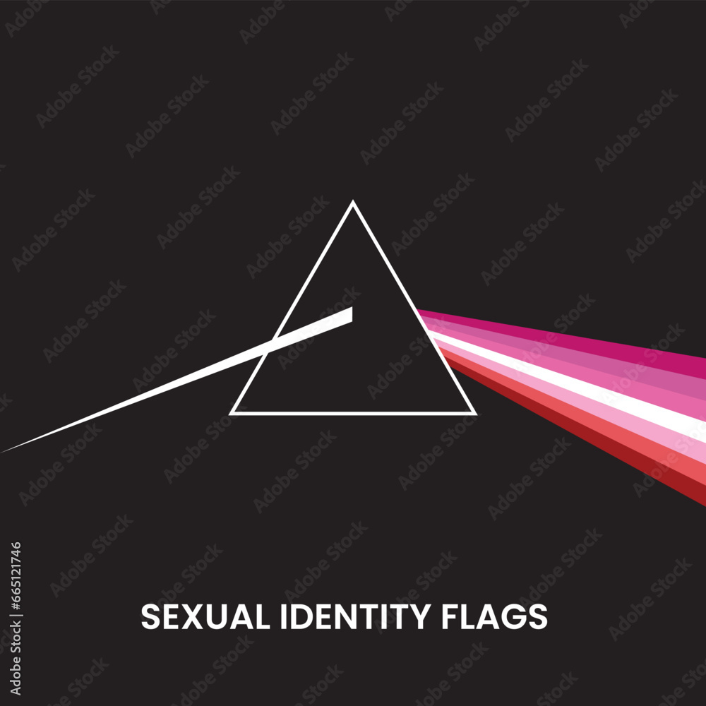 sexual identity flags of the lgbtiq+ community Stock Vector | Adobe Stock