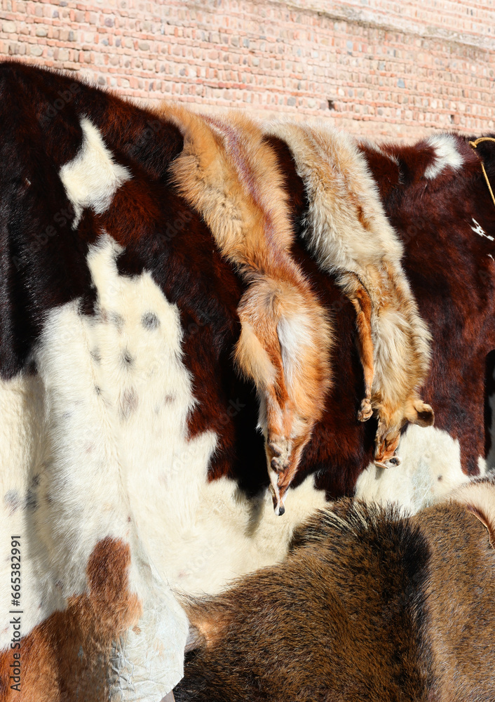 medieval market with the sale of skins and skins of red foxes and other ...