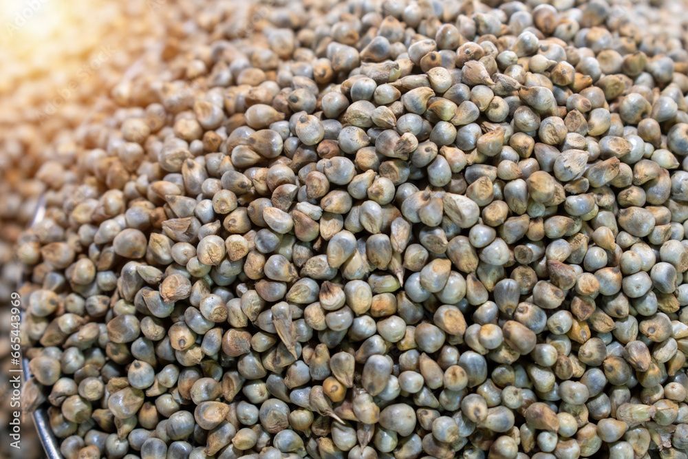 Bajra (Pearl millet), Millet are a group a small, round whole grains ...