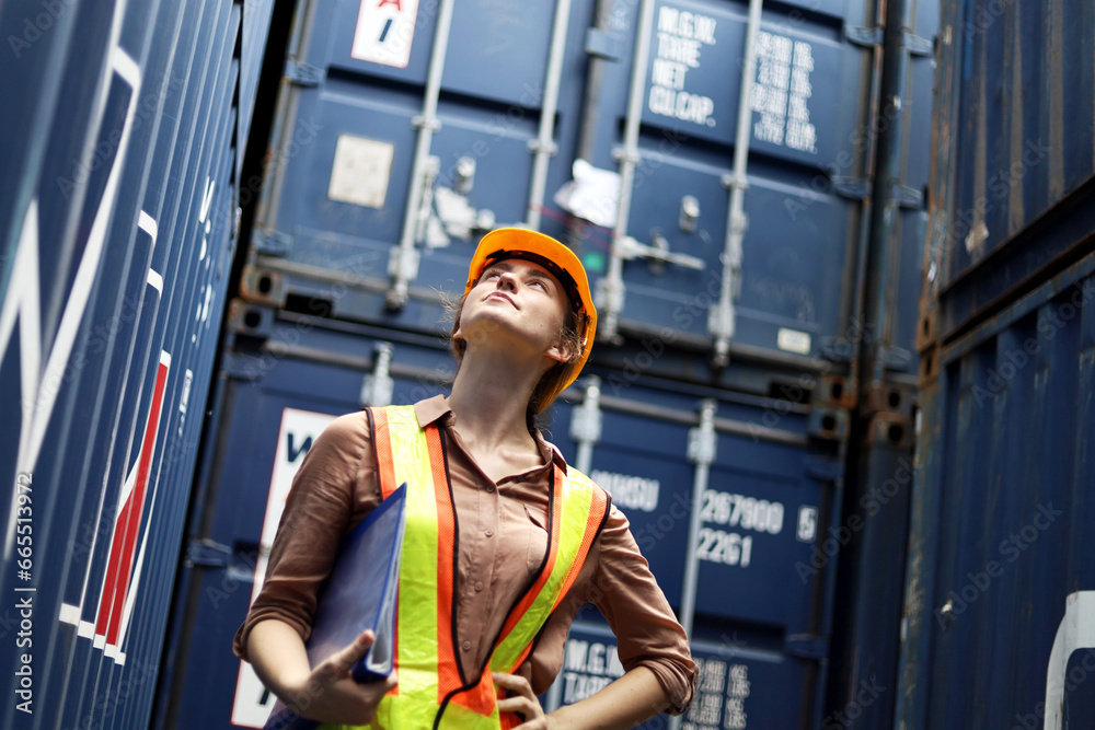 Young woman Engineers standing in the shipping yard tracking the cargo ...