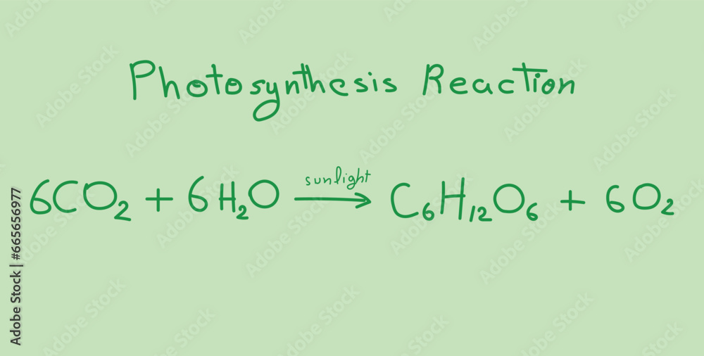 Photosynthesis equation. Carbon dioxide, water, sugars and oxygen ...