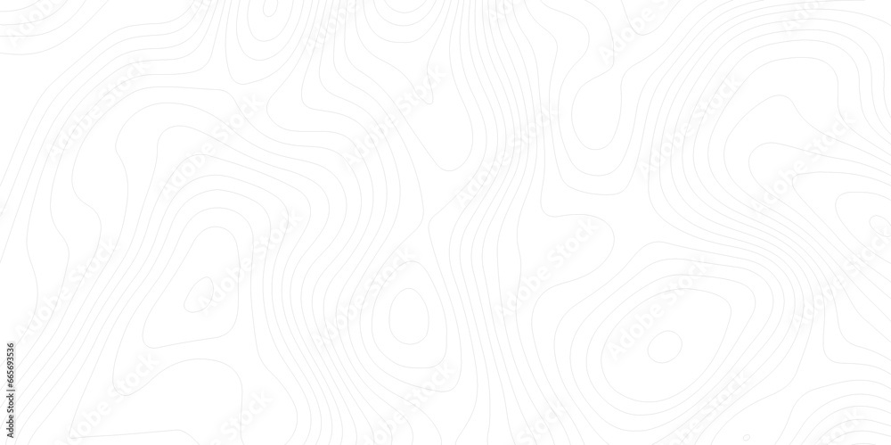 Topographic map background geographic line map with elevation ...