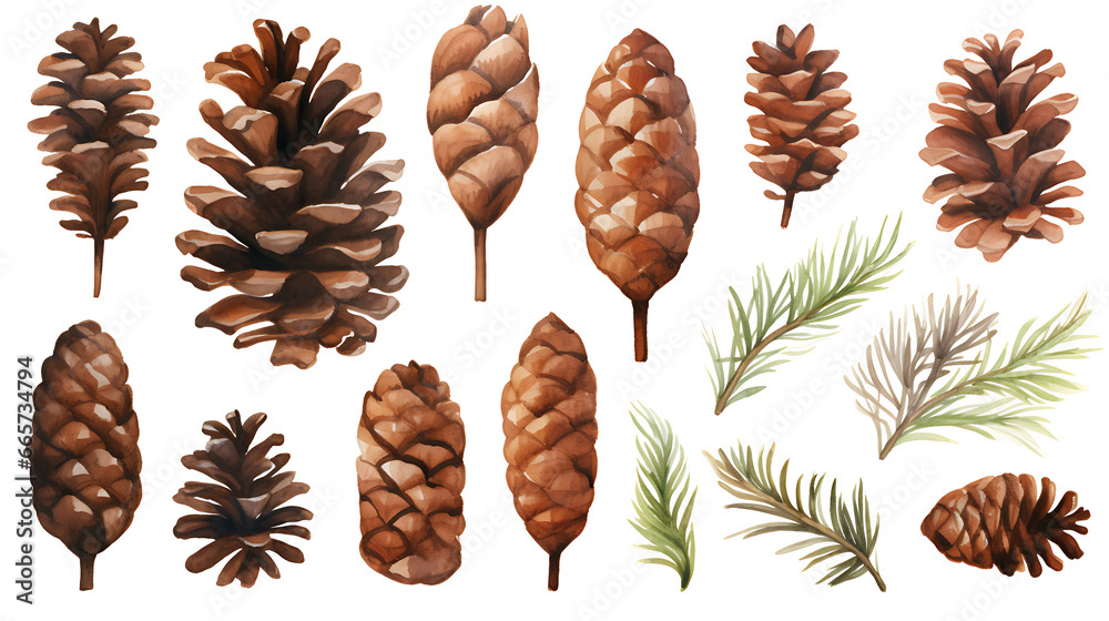 Watercolor Set of pine cone elements collection clipart . generative ai ...