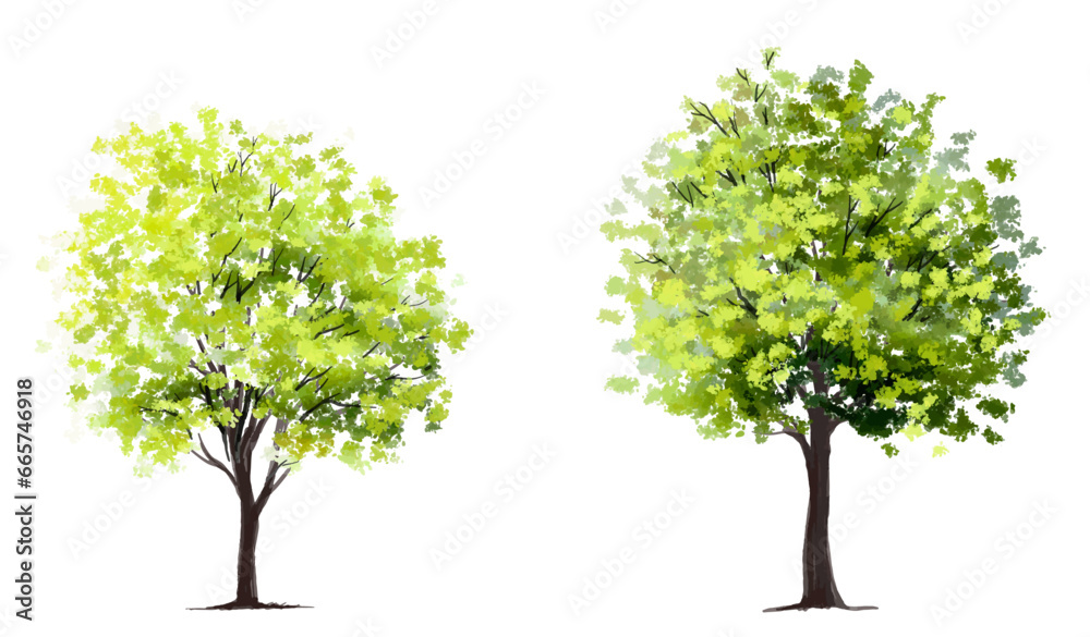 Vertor set of green tree,plants side view for landscape elevation ...