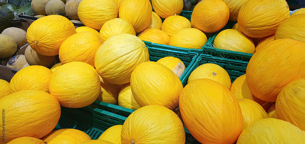 Ripe yellow melons in the store. Selling melons. Ripe melons in a ...