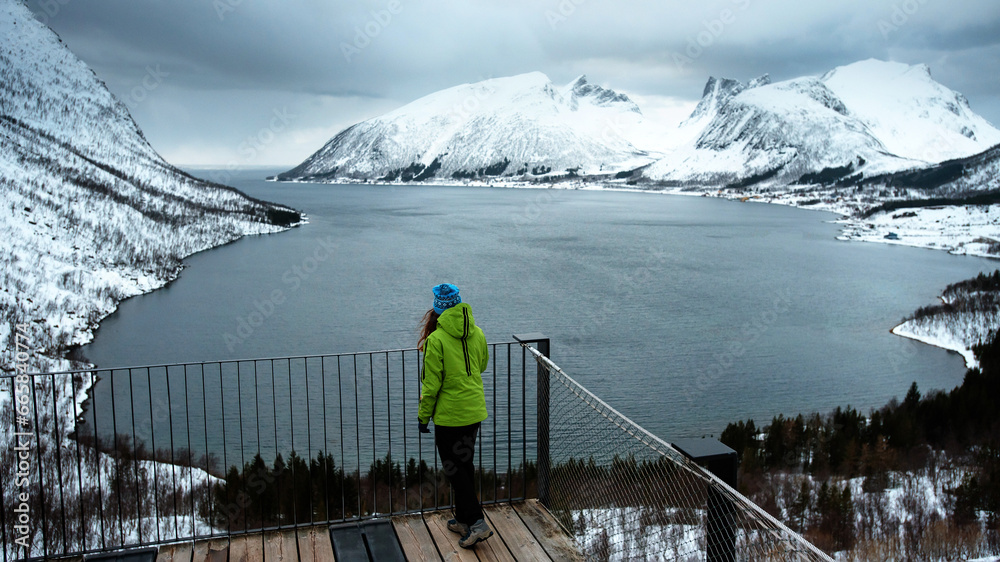 Lofoten islands, Senja region, Norway. Winter. Young girl in green ...