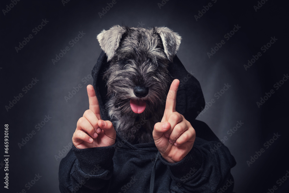 Dog head with human hands like a man, funny collage. Gesture of raised ...