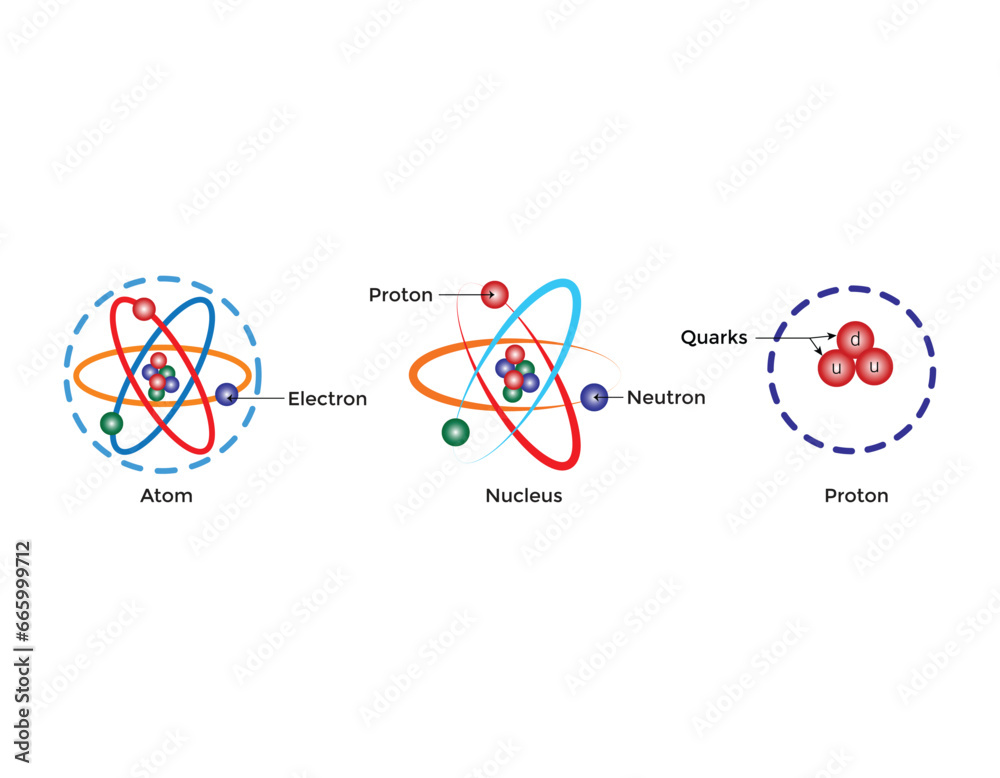 Atom Scientific poster with atomic structure: nucleus of protons and neutrons, orbital electrons ...