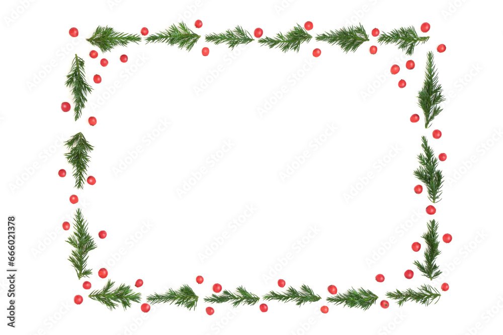 Juniper fir and holly berry winter greenery background border. Minimal ...