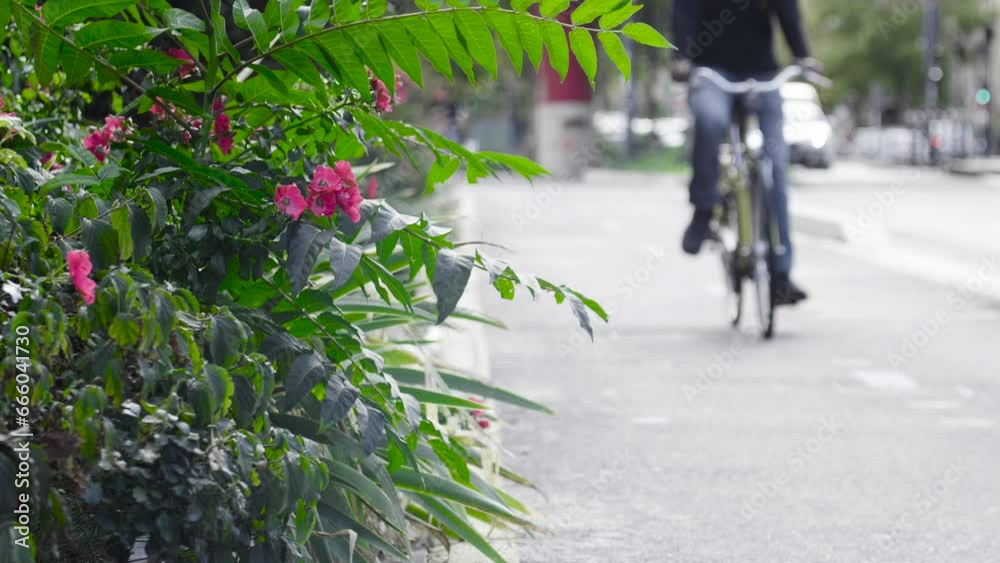 piste cyclable, vélo, trottinette électrique, écoresponsable, écologie ...