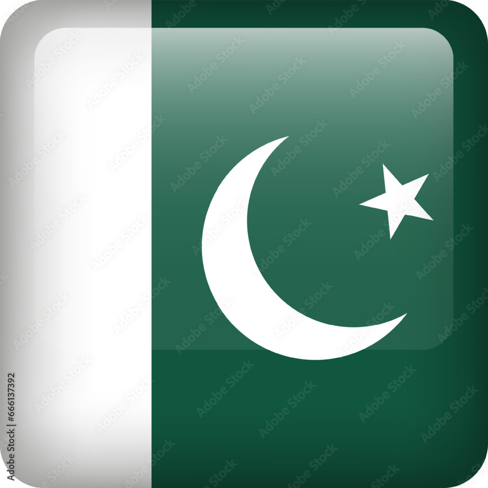 Pakistan flag button. Square emblem of Pakistan. Vector Pakistan flag ...