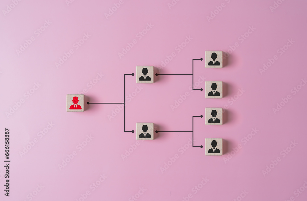 Organization chart, organigram, or company structure structure tree ...