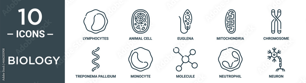 biology outline icon set includes thin line lymphocytes, animal cell ...