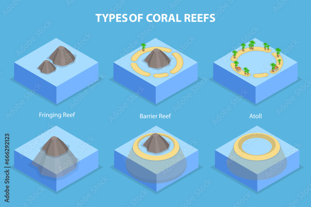 3D Isometric Flat Vector Illustration of Types Of Coral Reefs ...