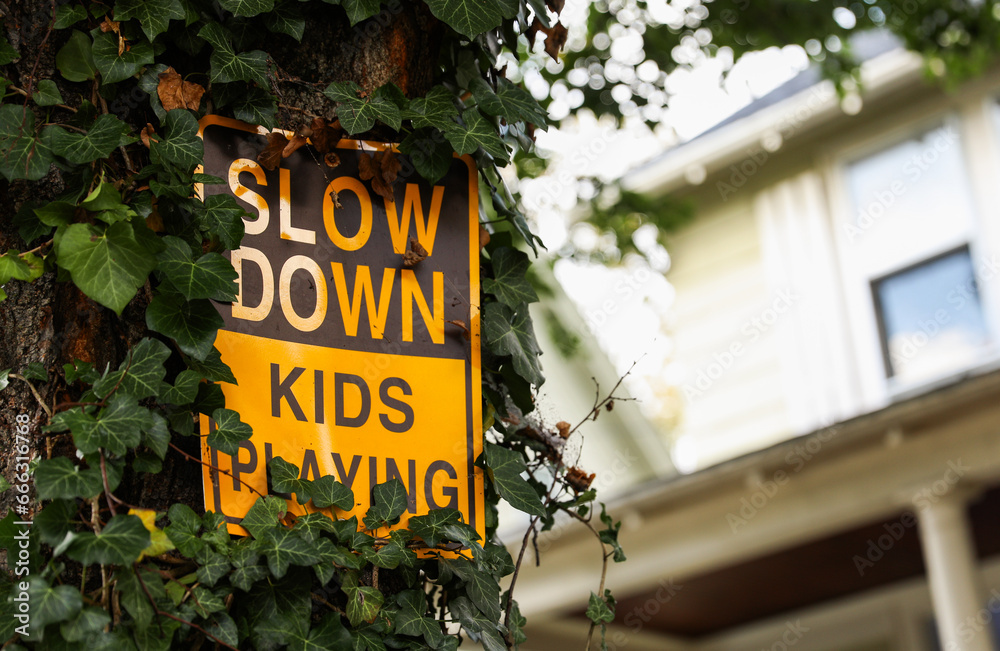 Pedestrian sign in urban street. Vibrant crosswalk symbol, city life ...