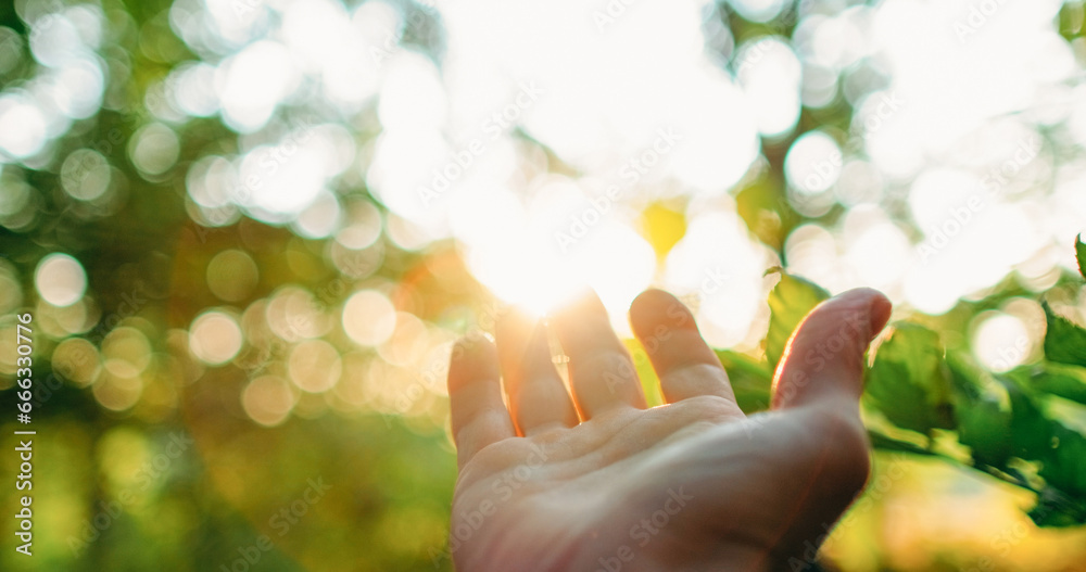 Forest sunrise. Nature communication. Man hand reaching out to bokeh ...