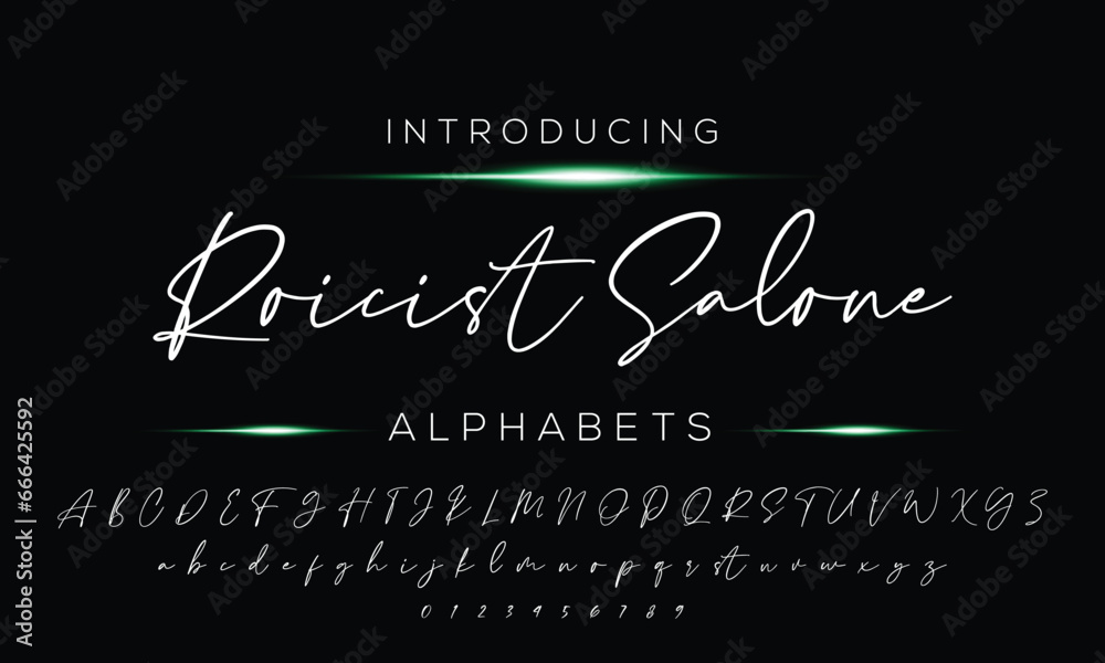 Vetor de Hand drawn calligraphic vector monoline font. Distress ...