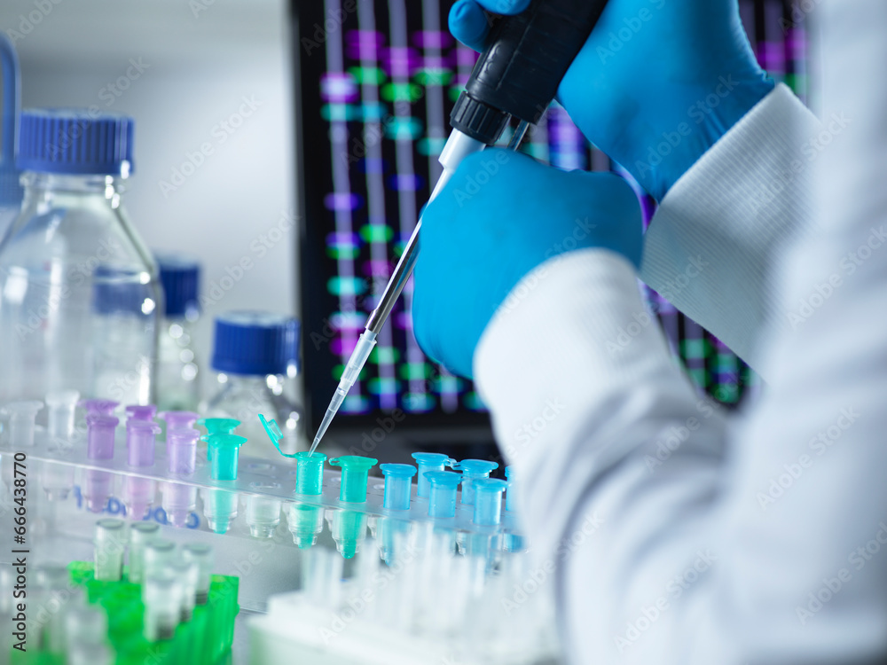 Scientist pipetting DNA sample into eppendorf tube for genetic testing ...