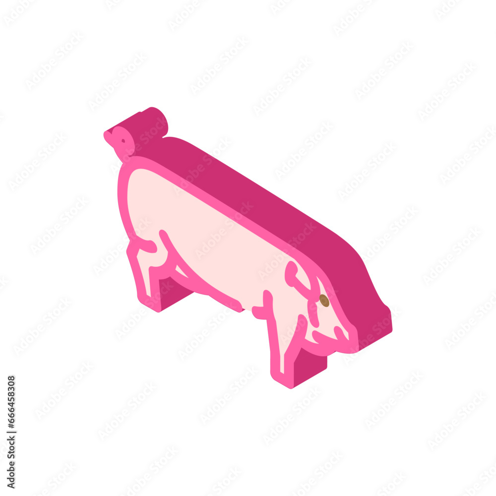 landrace pig breed isometric icon vector. landrace pig breed sign ...
