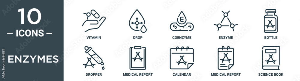 enzymes outline icon set includes thin line vitamin, drop, coenzyme ...