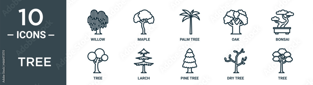 tree outline icon set includes thin line willow, maple, palm tree, oak ...