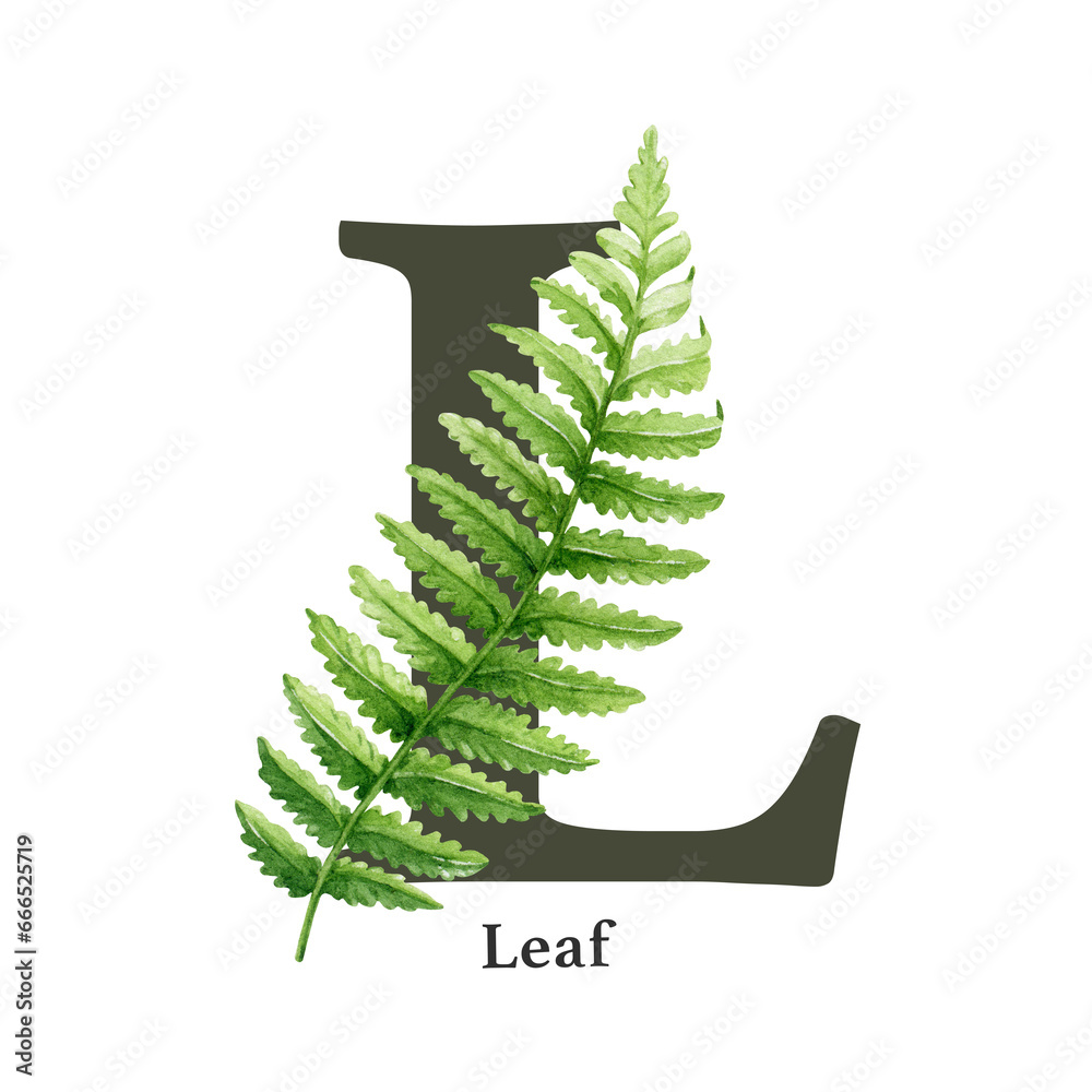 Capital letter L with leaf decor. Watercolor illustration. Forest ...