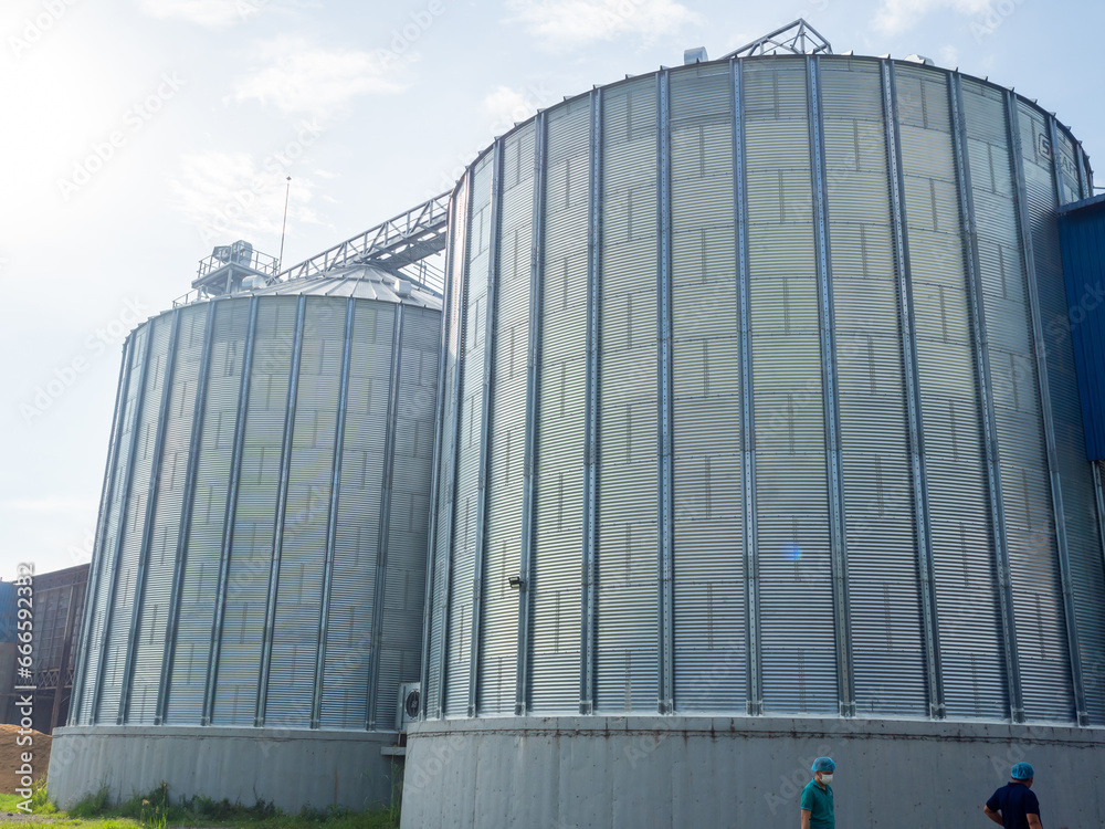 Paddy rice storage steel silo in a milling plant. Agriculture produces ...