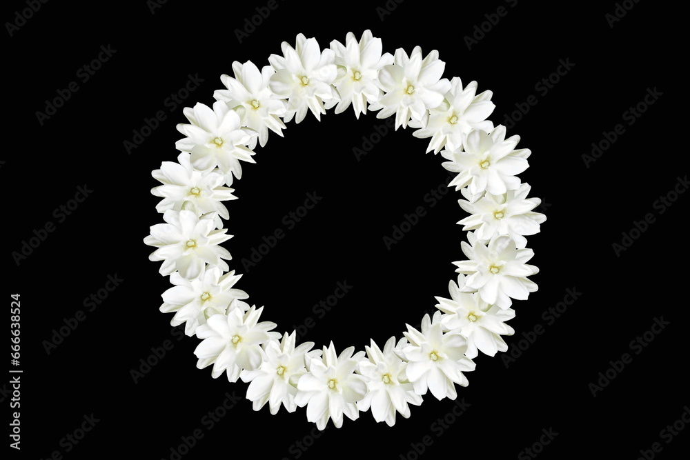 beautiful fresh jasmine white flower texture as round frame in black ...