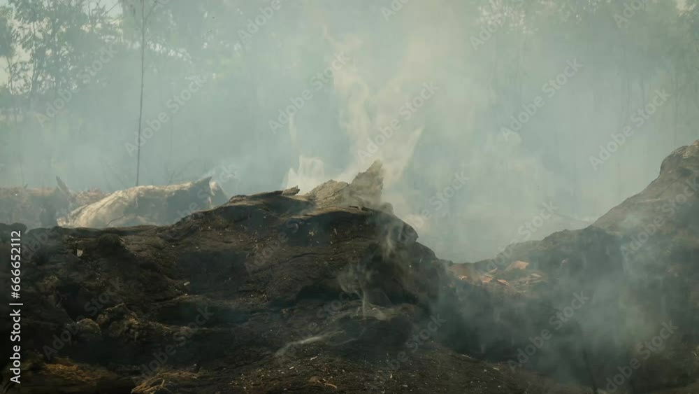 A stunning veld fire in a field in between a suburb and a railway ...