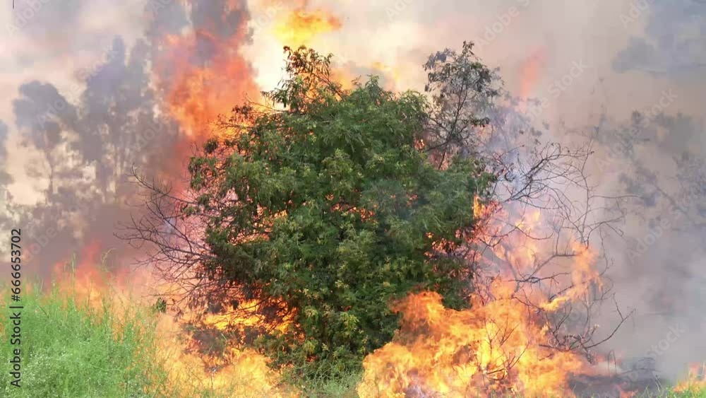A stunning veld fire in a field in between a suburb and a railway ...