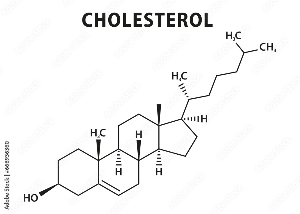 Structural chemical formulas of cholesterol molecule. Skeletal formula ...