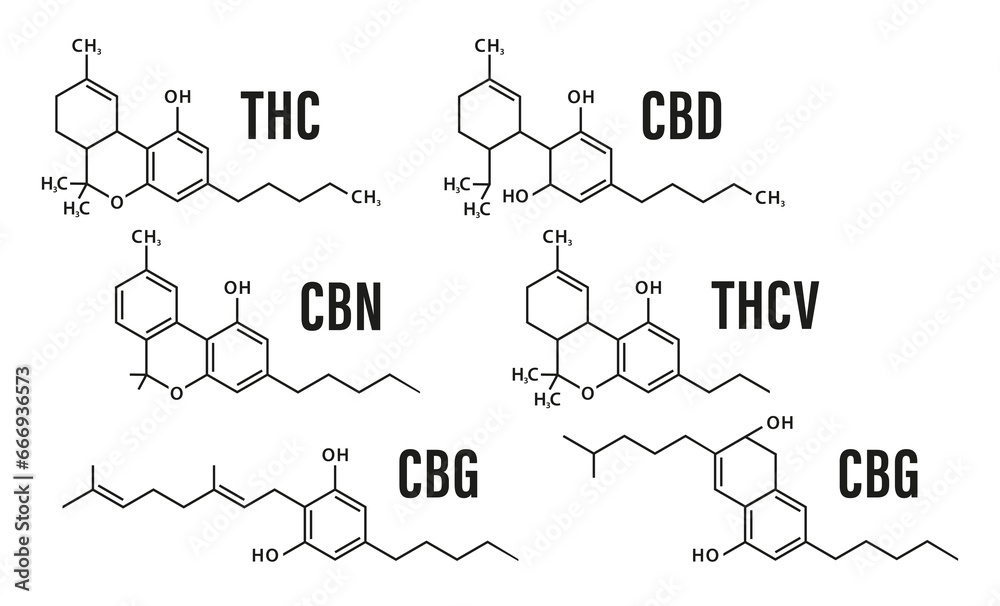 Visual Drawing Of The Molecular Chemistry Structure Of The Difference